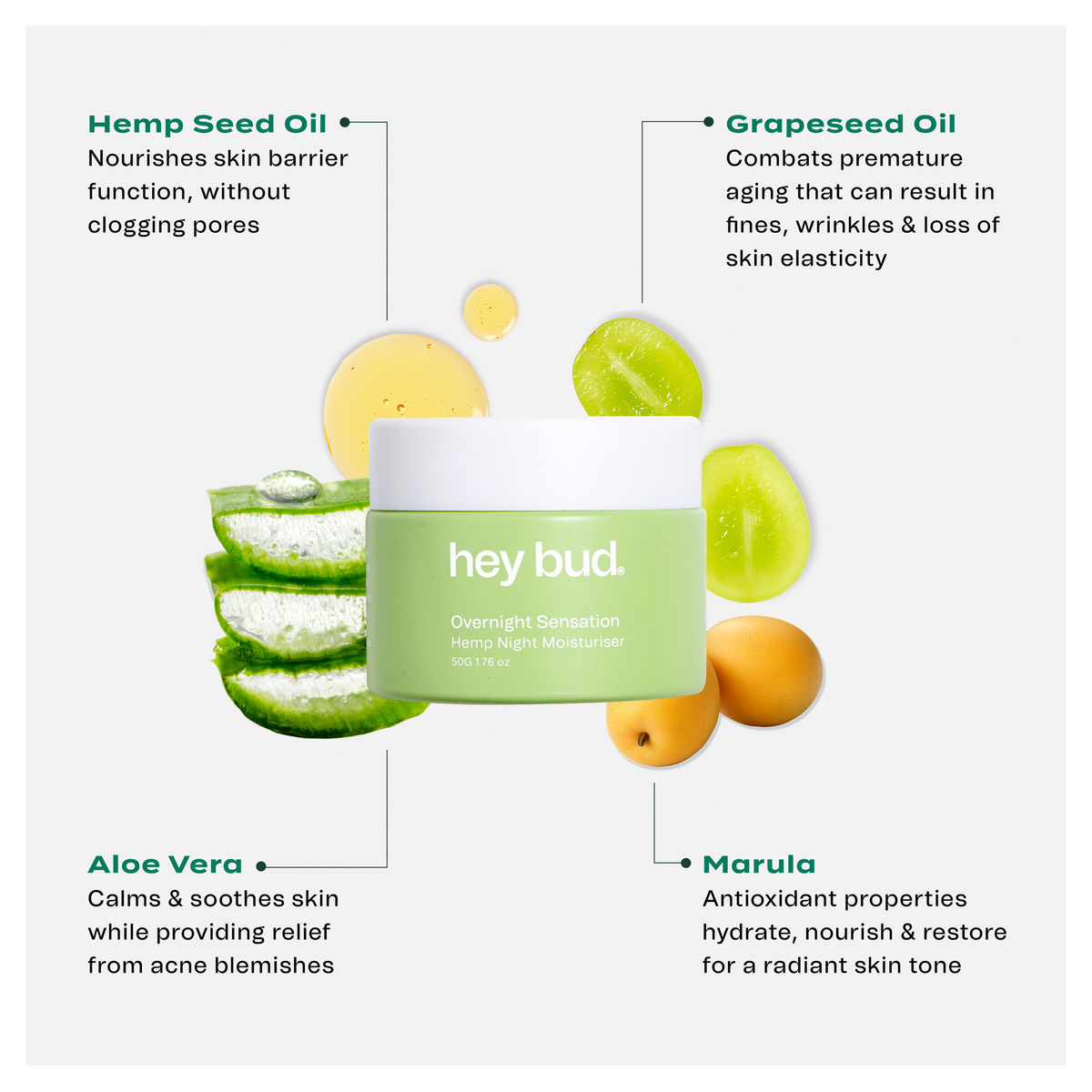 Buy Hey Bud Hemp Night Moisturiser 50g | Alive Pharmacy Warehouse